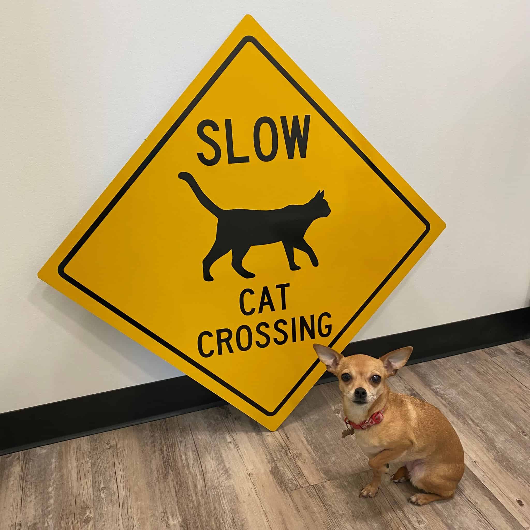 Signature Sign Line • FSJ Signs, Stickers and Decals Shop