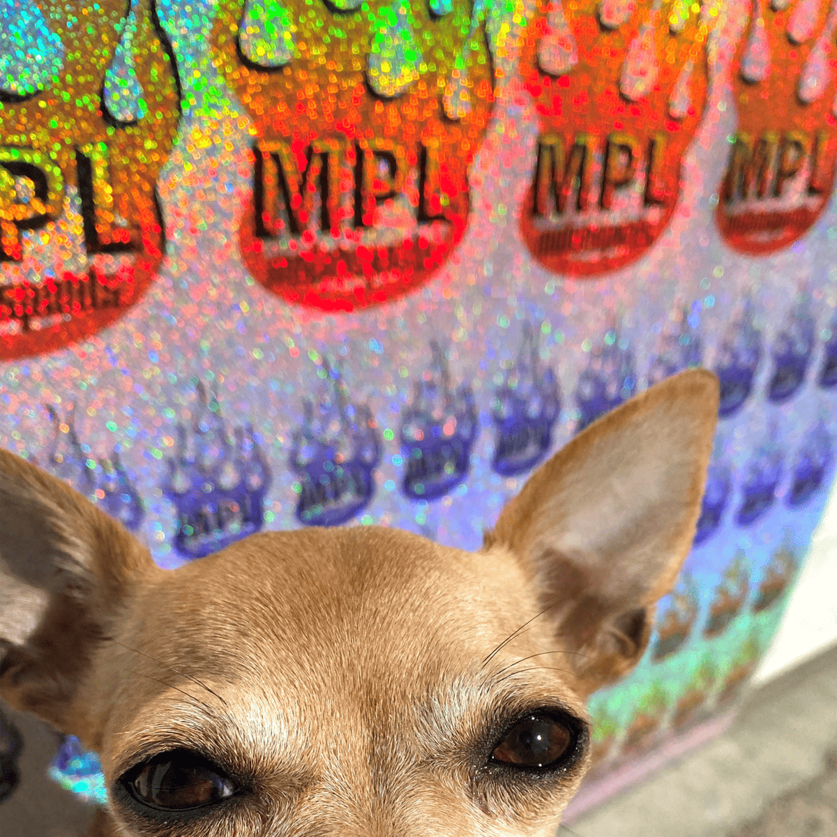 Signature Sign Line • FSJ Signs, Stickers and Decals Shop